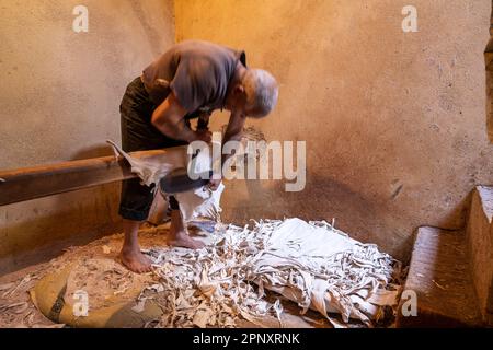 A worker in the Fez tanneries softening the already tanned skins using ...