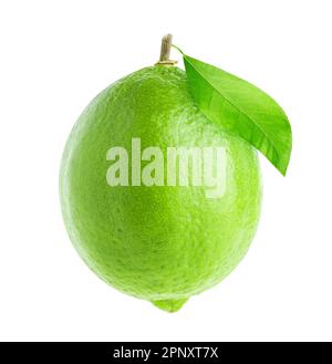 Single juicy Lime fruit isolated on white background with clipping path ...