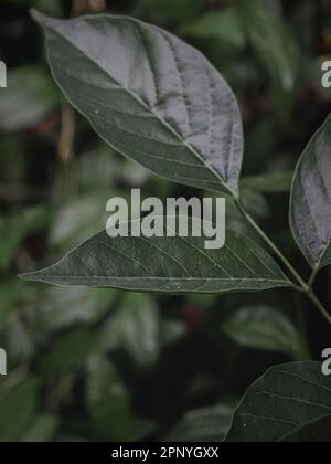 A dark, moody abstract background with diagonal lines and subtle light ...