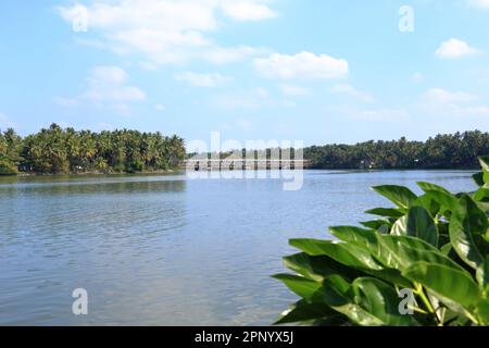 the lake and backwaters behind Dharmadam beach in Kannur, Kerala in ...