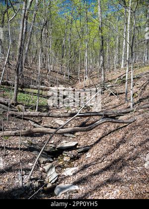 Powder Valley Conservation Nature Center, Location: Kirkwood MO Stock ...