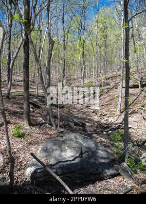 Hickory Ridge Trail at Powder Valley Conservation Nature Center Stock ...