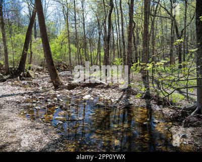 Hickory Ridge Trail at Powder Valley Conservation Nature Center Stock ...