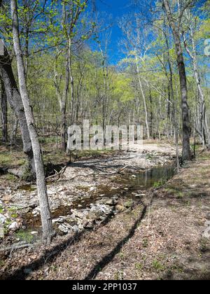 Powder Valley Conservation Nature Center, Location: Kirkwood MO Stock ...
