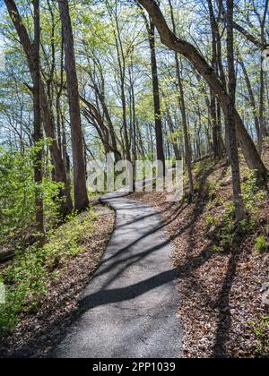 Hickory Ridge Trail at Powder Valley Conservation Nature Center Stock ...