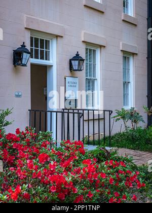 Spring flowers Columbia South Carolina? photos by Catherine Brown Stock ...
