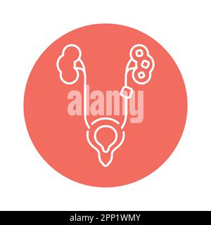 Urolithiasis disease color line icon. Pictogram for web page, mobile ...