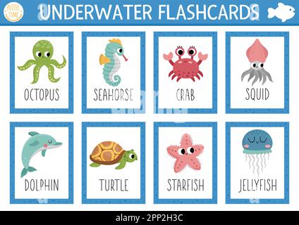 Vector flash cards set with water animals, diver, submarine. English ...