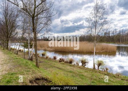 Spring view of the Borki lake on the border between Sosnowiec and ...