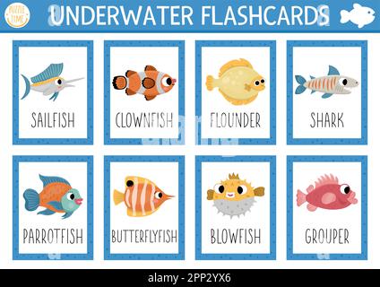 Vector flash cards set with water animals, octopus, seahorse. English ...