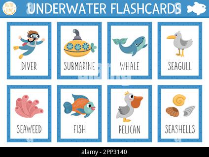 Vector flash cards set with water animals, octopus, seahorse. English ...