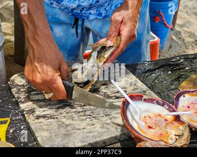 With strong, calloused hands and a weathered face, the traditional man ...