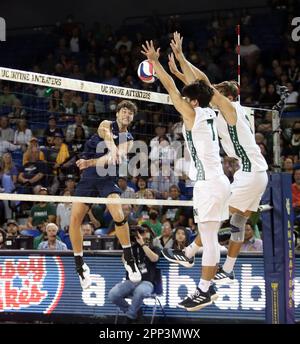 Hawaii Rainbow Warriors opposite hitter Cole Hogland (7) celebrates ...