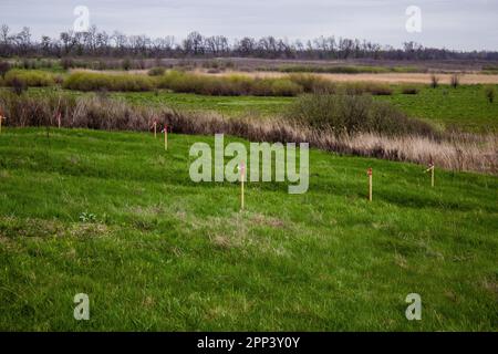 Various Russian anti-tank, anti-personnel and explosive mines collected ...