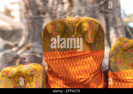 Hindu snake god Nagaraja statue kept on a high platform being ...