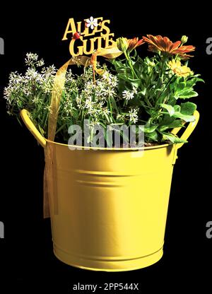 ALLES GUTE (all the best in German) written with chalk on slate shown ...