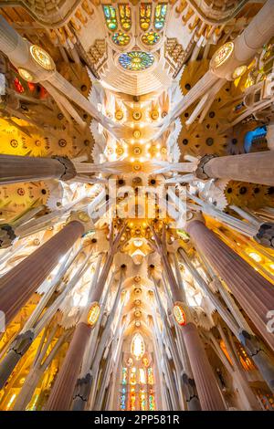 Artistic ceiling vault with columns, interior of the Sagrada Familia ...