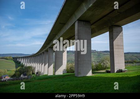 Riol, Germany. 22nd Apr, 2023. Trees blossom in delicate colors in a ...