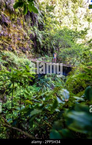 Description: Backpacker woman walking on overgrown footpath over old ...