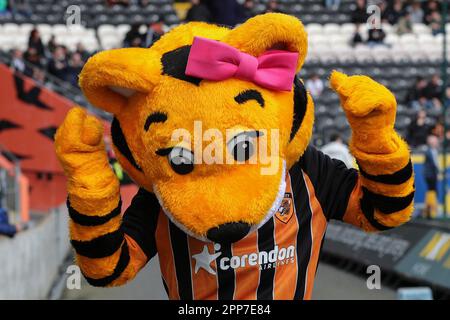 Hull City mascot dancing ahead of the Sky Bet Championship match Hull ...