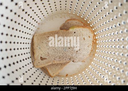throwing old bread in a garbage bin Stock Photo - Alamy