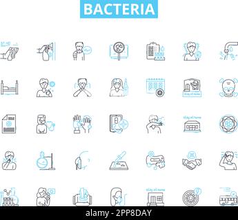 Prokaryotes linear icons set. Bacteria, Archaea, Microorganisms ...