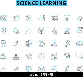 Systematic analysis linear icons set. Methodical, Rigorous ...