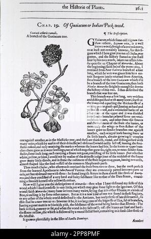 Plants of Medicinal Value to Particular Human Body Parts Stock Photo ...