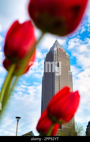 Cleveland Ohio in Spring with Tulips Stock Photo - Alamy
