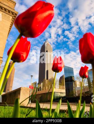 Cleveland Ohio in Spring with Tulips Stock Photo - Alamy