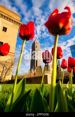 Cleveland Ohio in Spring with Tulips Stock Photo - Alamy