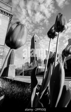 Cleveland Ohio in Spring with Tulips Stock Photo - Alamy