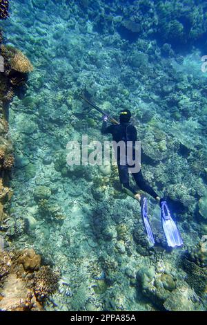 Indonesia Anambas Islands - Men spearfishing in coral reef Stock Photo ...