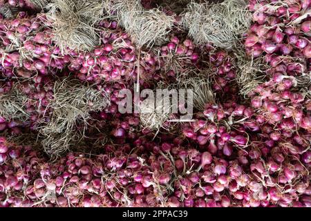 Red Onions displayed in local farmers' Warehouse Stock Photo - Alamy