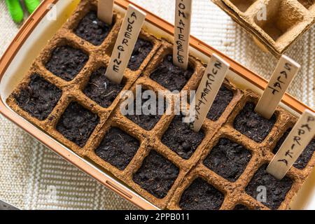 growing pots made of biodegradable cardboard with soil Stock Photo - Alamy