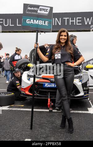 George Gamble, Toyota Corolla GR Sport, BTCC, British Touring Car ...
