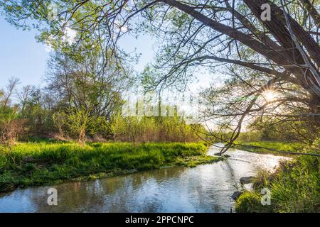 Lanzenkirchen: confluence of rivers Pitten and Schwarza to river Leitha ...
