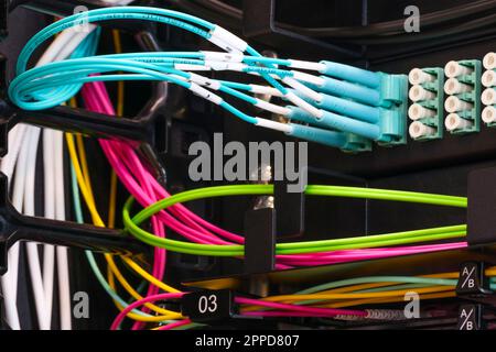 Multi Colored Network Cables Connected to Switch, network technology ...