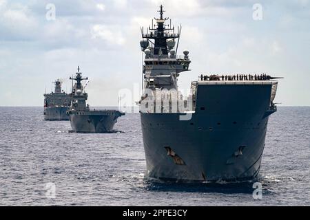 Petty Officer 2nd Class Wesley Pollard and his wife play with their dog ...