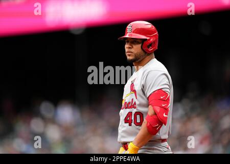 St. Louis Cardinals' Willson Contreras celebrates in the dugout after ...