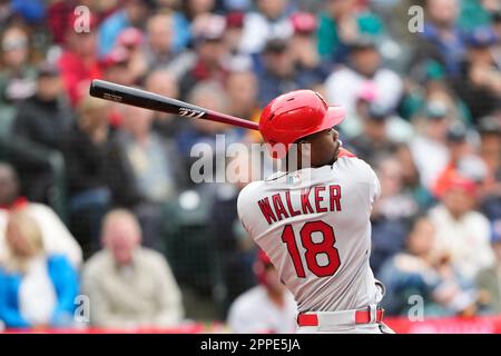 St. Louis Cardinals' Jordan Walker reacts after hitting a home run ...