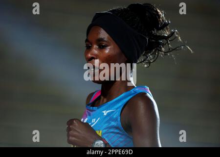 Kobe, Japan. 22nd Apr, 2023. Esther Wangui Athletics : The 71st Hyogo ...