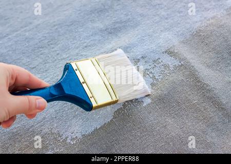 Synthetic paint brush and primer on canvas surface Stock Photo - Alamy