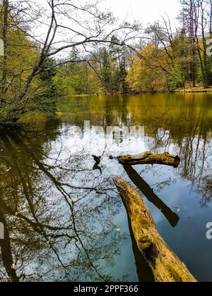 Germany, Stuttgart vaihingen city park katzenbachsee lake water ...