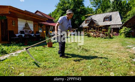a farmer is cutting gras with a sense in Romania Stock Photo - Alamy