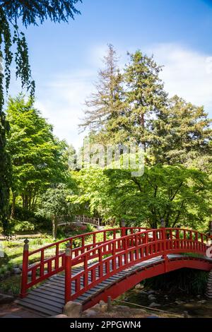 Traditional red wooden bridge on a japanese garden pond Stock Photo - Alamy