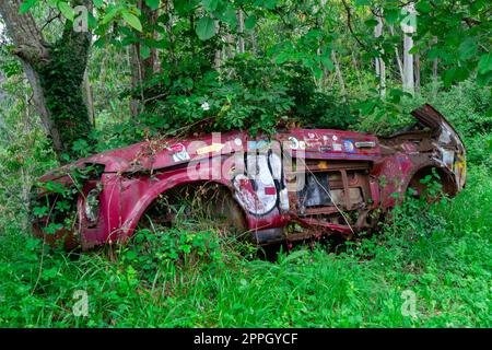 the old rusty body of the LADA NIVA car overgrown with grass. The ...