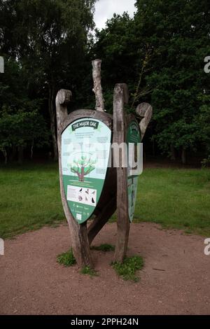 Spring in Sherwood forest, UK Stock Photo - Alamy
