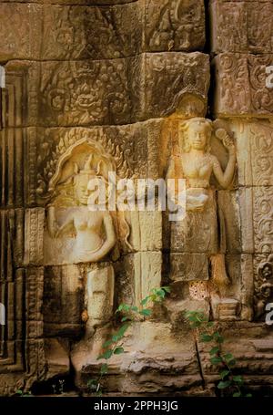 Apsara figure on a wall at Ta Prohm temple compound in Siem Reap ...