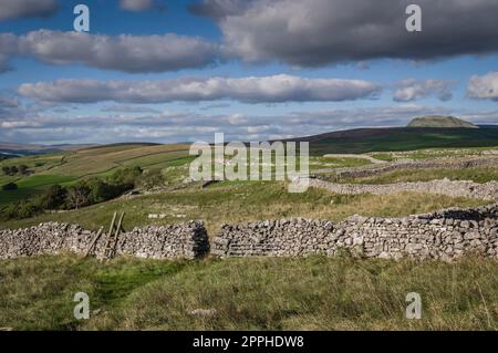 Penyghent as seen from the fells above the village of Langcliffe ...
